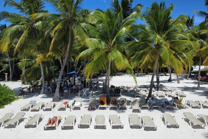 Saona Island: Full-day Catamaran Tour - Small Group - Key Points