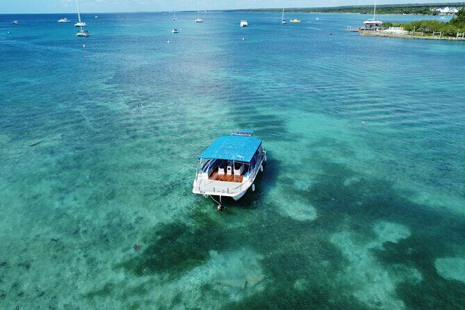 Saona Island: Full-day Catamaran Tour - Small Group - A Detailed Look at the Saona Island Catamaran Experience