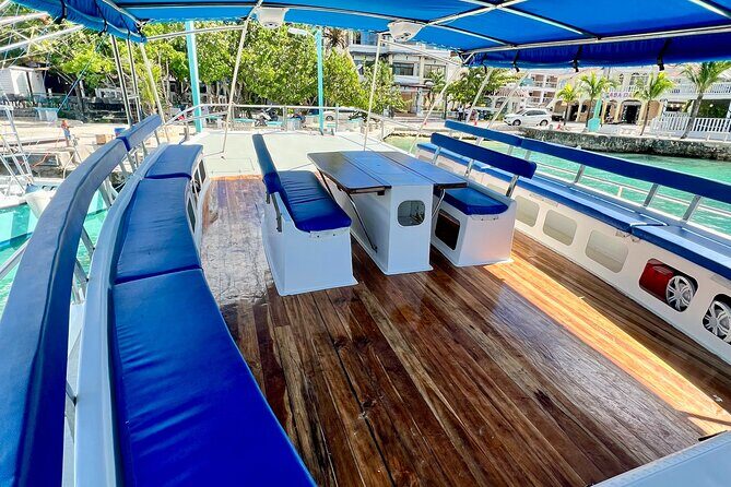 Saona Island: Full-day Catamaran Tour - Small Group - FAQs