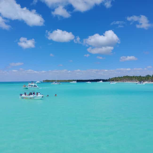 Saona Island Full-Day Cruise, Natural Pool and Lunch - A Deep Dive into the Experience