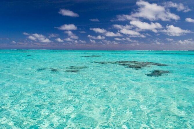 Saona Island Full-Day Excursion - An In-Depth Look at the Saona Island Full-Day Tour