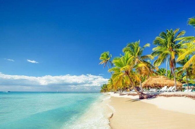 Saona Island Full-Day Excursion - The Sum Up: Is It Worth It?