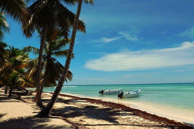 Saona Island Full-Day Tour from Santo Domingo with Pickup - Frequently Asked Questions