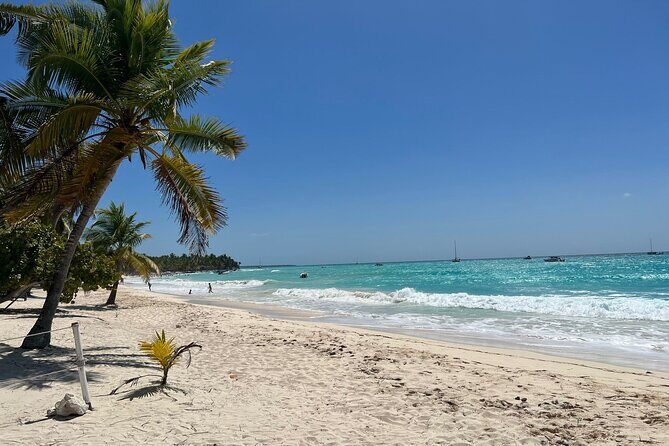 Saona Island Full Day Tour with Buffet Lunch, Paella, & Open Bar - Final Thoughts