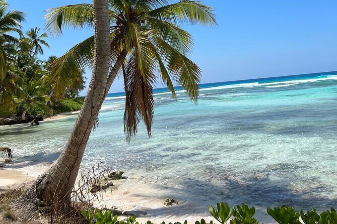 Saona Island Full Day Tour with Buffet Lunch, Paella, & Open Bar - FAQ