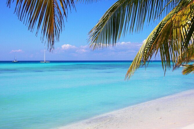 Saona island full day tours - catamarán party from santo domingo - Final Thoughts