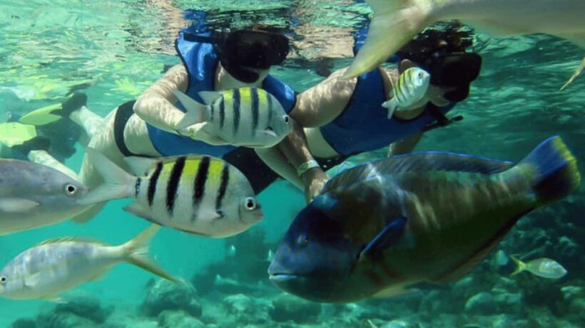 Saona Island: Hidden Beach & Natural Pool - Authenticity and Value