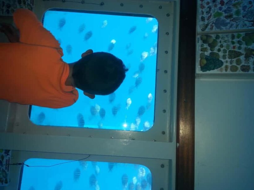 Saona Island in a semi-submarine and snorkeling. - An Authentic Caribbean Day: What to Expect from This Tour