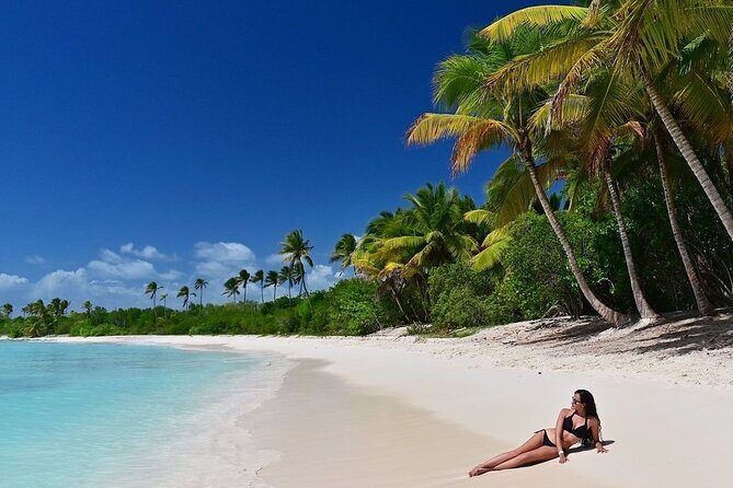 Saona Island, memorable all-inclusive experience, from Santo Domingo. - Key Points