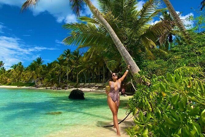 Saona Island, memorable all-inclusive experience, from Santo Domingo. - An In-Depth Look at the Saona Island Experience