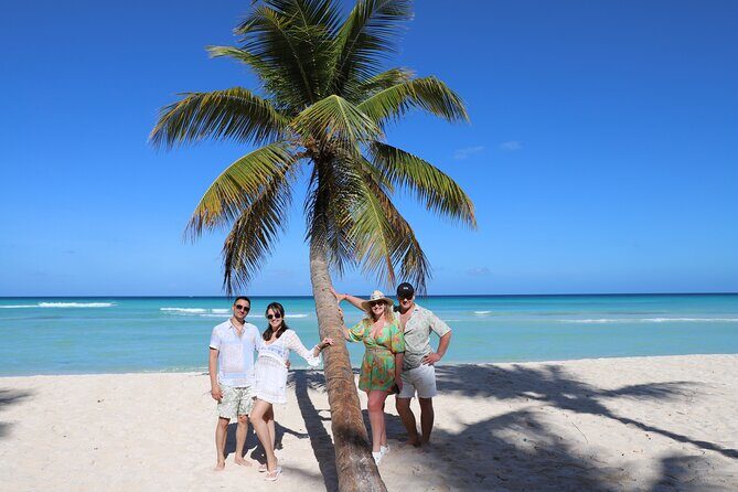 Saona Island One Day in Paradise Small Group - Key Points