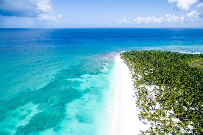 Saona Island One Day in Paradise Small Group - Final Thoughts: Who Is This Tour Best For?