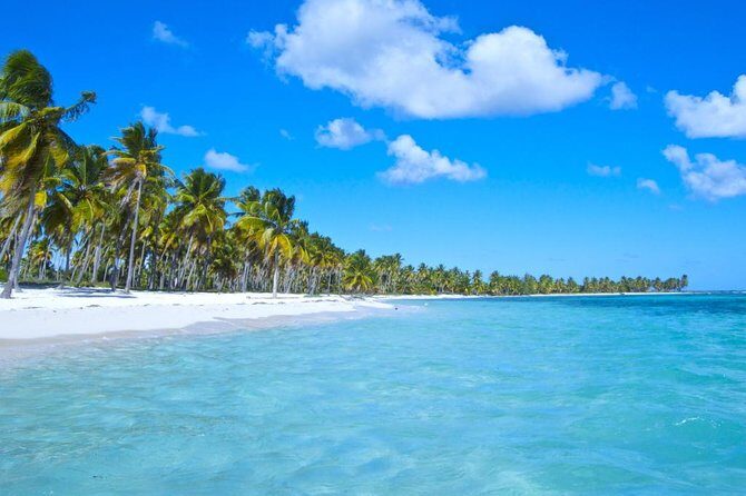 Saona Island Paradise Full Day - all inclusive. From Punta Cana & Bayahibe - Who Should Consider This Tour?