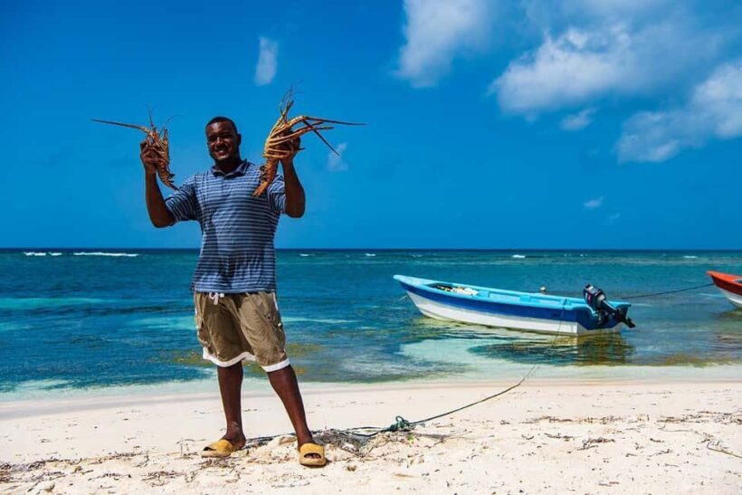 Saona Island Premium- Exclusive Beach And Mano Juan Full-Day - FAQ: Your Practical Questions Answered