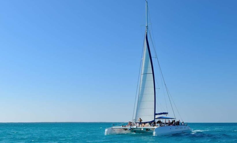 Saona Island Private: +10 People Catamarán - Key Points