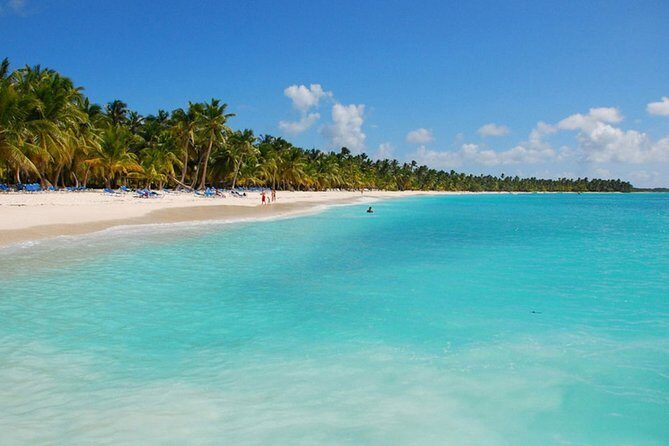 Saona Island Private Boat Tour with Lunch and Beverages - A Closer Look at the Tour