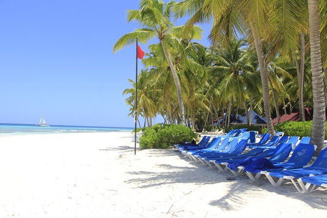 Saona Island Private Boat Tour with Lunch and Beverages - Final Thoughts: Is It Worth It?