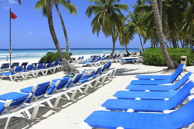 Saona Island Private Boat Tour with Lunch and Beverages - Frequently Asked Questions