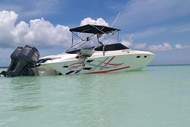 Saona island - Private Tour with a Luxury Speed Boat - A Closer Look: What to Expect from the Tour