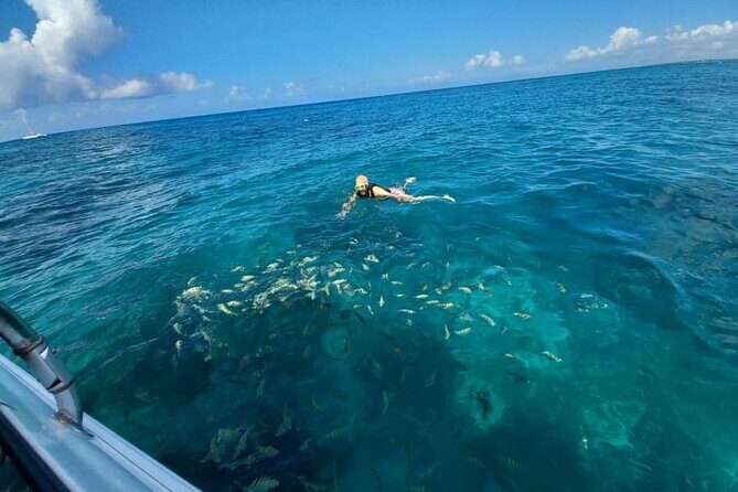 Saona island - Private Tour with a Luxury Speed Boat - Who Would Love This Tour?