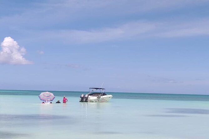 Saona island - Private Tour with a Luxury Speed Boat - Final Thoughts: Is it the Right Fit?