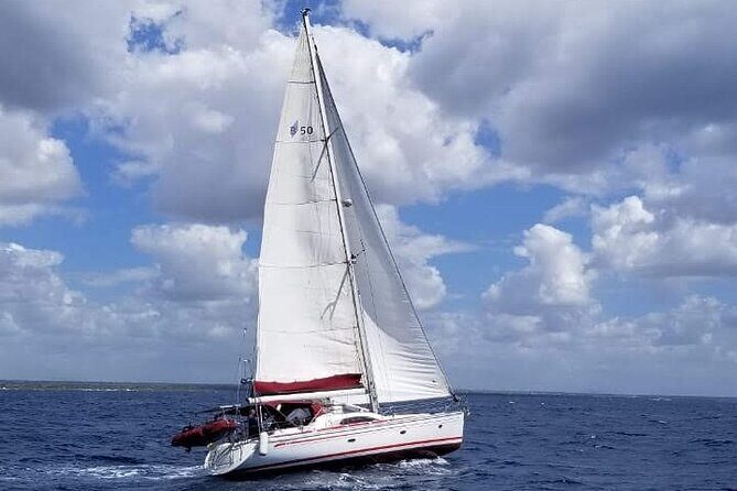 Saona Island Private VIP Sailing Yacht Tour - Who Is This Tour Best For?