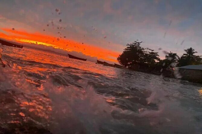 Saona Island : Punta Cana All Inclusive - The Sum Up