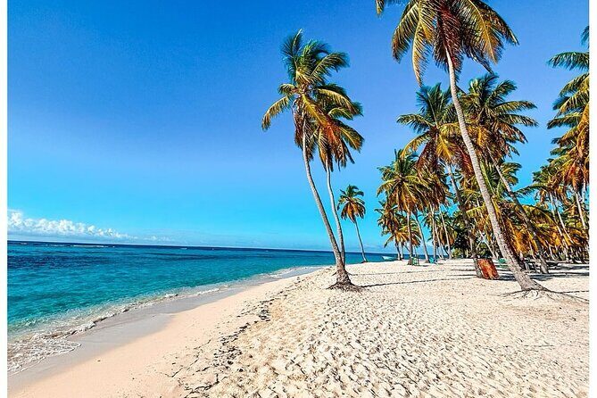 SAONA ISLAND - Rhythm, Rum & Radiant Beaches - PUNTA CANA - The Full Experience of Saona Island: What to Expect