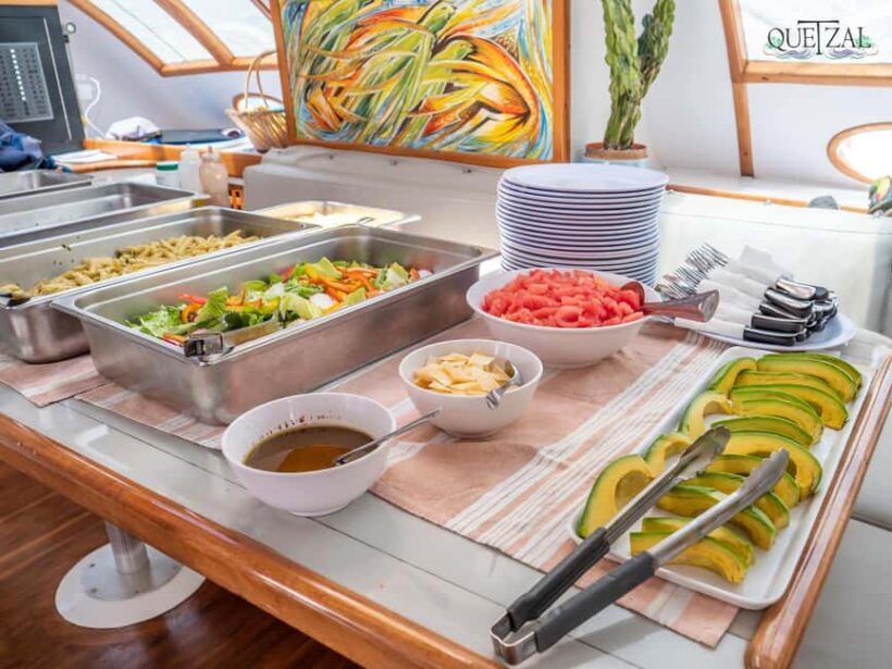 Saona island - Small group tour - Luxury catamaran - FAQs