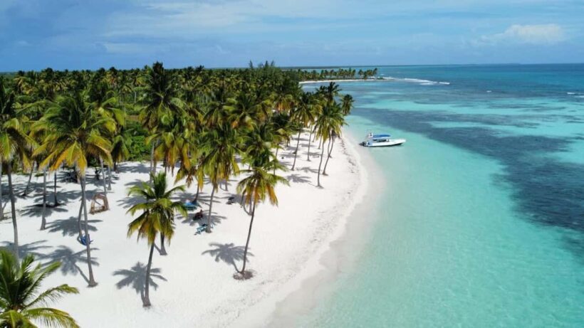 Saona Island: Small Group Virgin Beaches Cruise Day Trip - Introduction: Why This Tour Might Be Your Best Choice