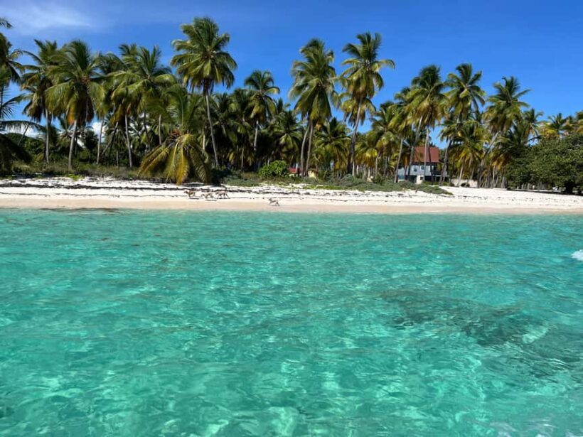 Saona Island: Small Group Virgin Beaches Cruise Day Trip - The Crew and Guides: Knowledgeable and Friendly