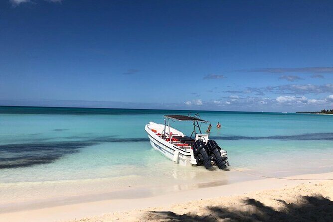 Saona Island Speedboat Tour with Lunch & Natural Pool Swim - Who Will Love This Tour?