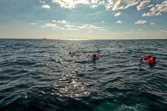 Saona Island Speedboat Tour with Lunch & Natural Pool Swim - The Sum Up: The Value Proposition
