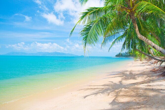 Saona Island The Virgin Part No One Knows - Authentic Experiences and Review Insights