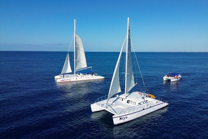 Saona Island Tour - An In-Depth Look at the Saona Island Tour