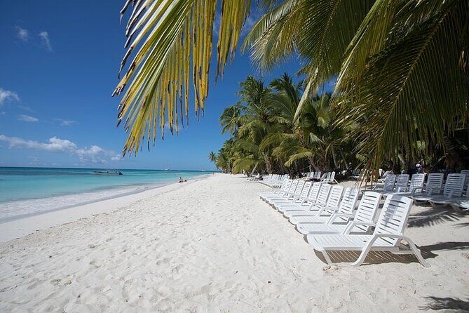 Saona Island Tour - Final Thoughts: Is It Worth It?