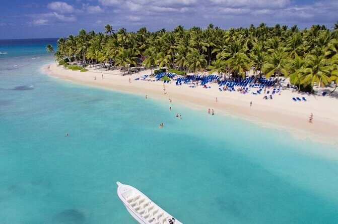 Saona Island tour: All buffet, speedboat catamaran - A Closer Look at the Saona Island Tour