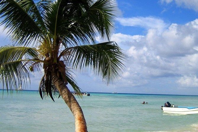 Saona Island Tour by Catamaran & Speedboat  Punta Cana - Introduction