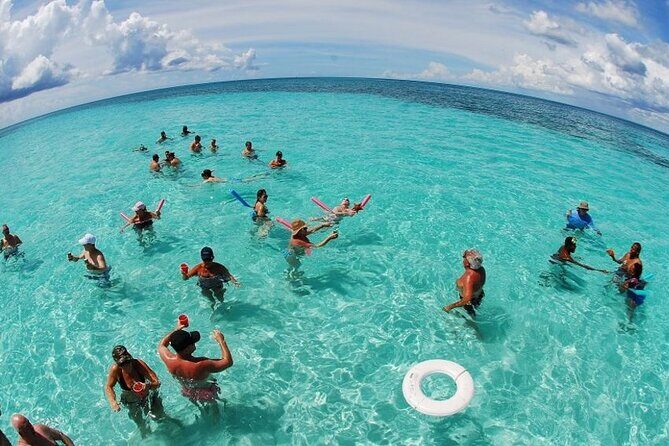 Saona Island Tour from Punta Cana Lunch & Drinks - What We’ve Learned from Travelers