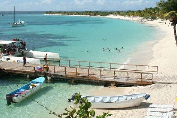 Saona Island Tour from Punta Cana with Lunch, Open Bar & Pickup - Setting the Scene: What the Tour Entails