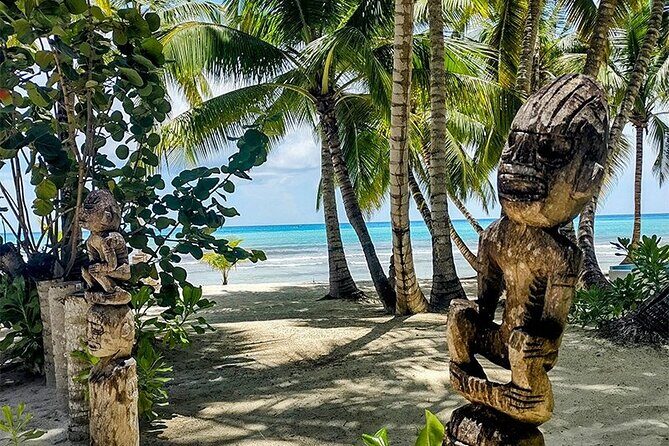 Saona Island Tour from Santo Domingo - An In-Depth Look at the Saona Island Tour