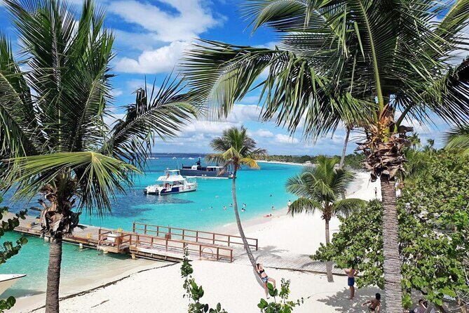 Saona Island Tour From Santo Domingo with Lunch, Open Bar, Pickup - What’s Included and What’s Not