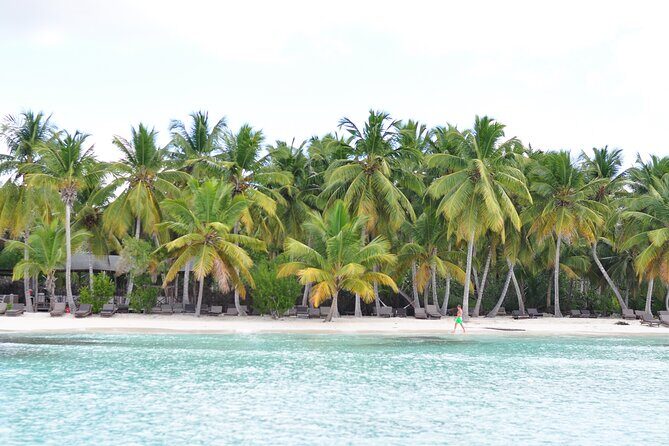 Saona Island Tour in Punta Cana - Practical Details: What You Need to Know