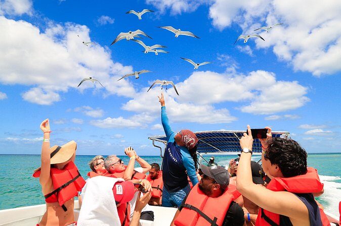 Saona Island Tour with Altos de Chavón from Punta Cana - Who Should Consider This Tour?