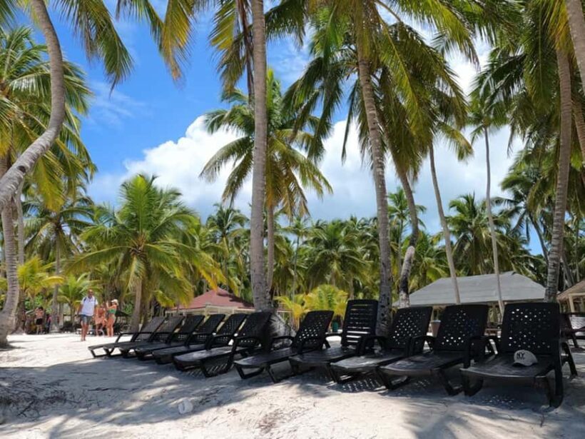 Saona Island: Tour with Lunch and Drinks - Who Is This Tour Best For?
