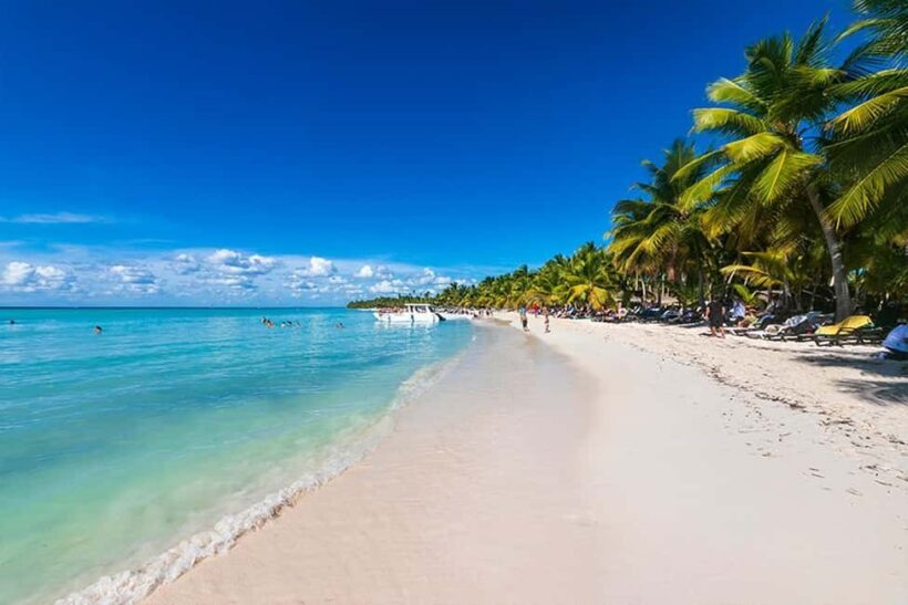 Saona Island Tour with Lunch and Open Bar - Authentic Moments and Traveler Feedback