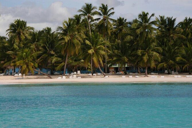 Saona Island Unforgettable Experience. !!! .. - An In-Depth Look at the Saona Island Tour