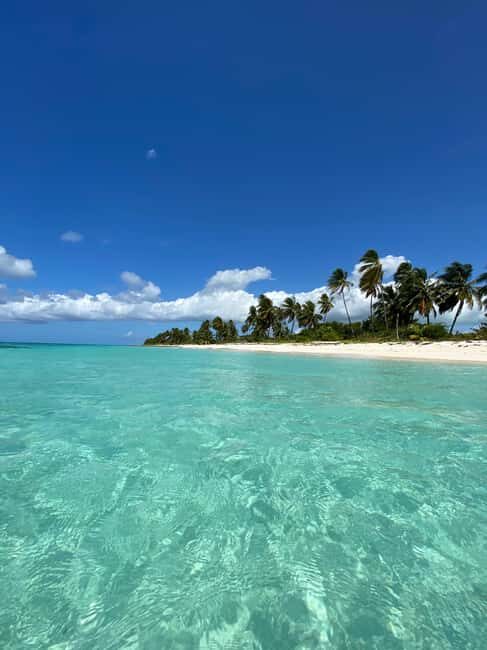 Saona Island VIP: 4 Beaches , Mano Juan & Canto de la Playa - Introduction: A Taste of Caribbean Paradise