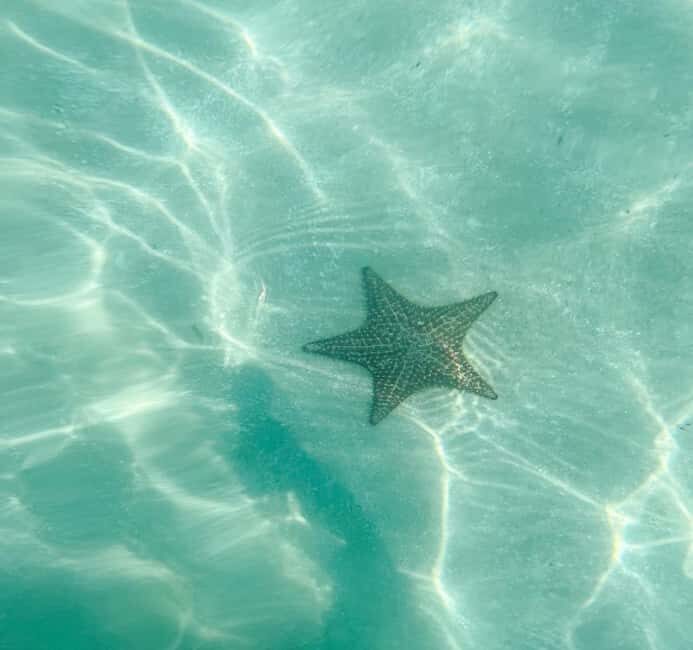 Saona Island VIP: 4 Beaches , Mano Juan & Canto de la Playa - The Beaches and Their Unique Charm