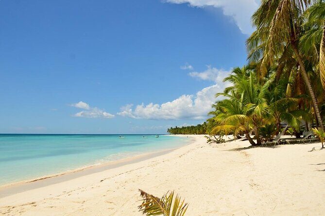 Saona Island VIP Experience  Private Boat for Up to 20 People - Final Thoughts: Who Is This Tour For?